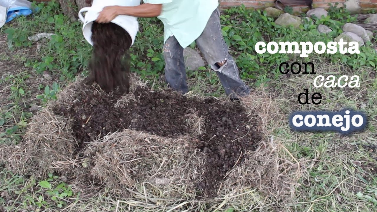 Pasos para iniciar tu composta en casa / Composta en el huerto - YouTube