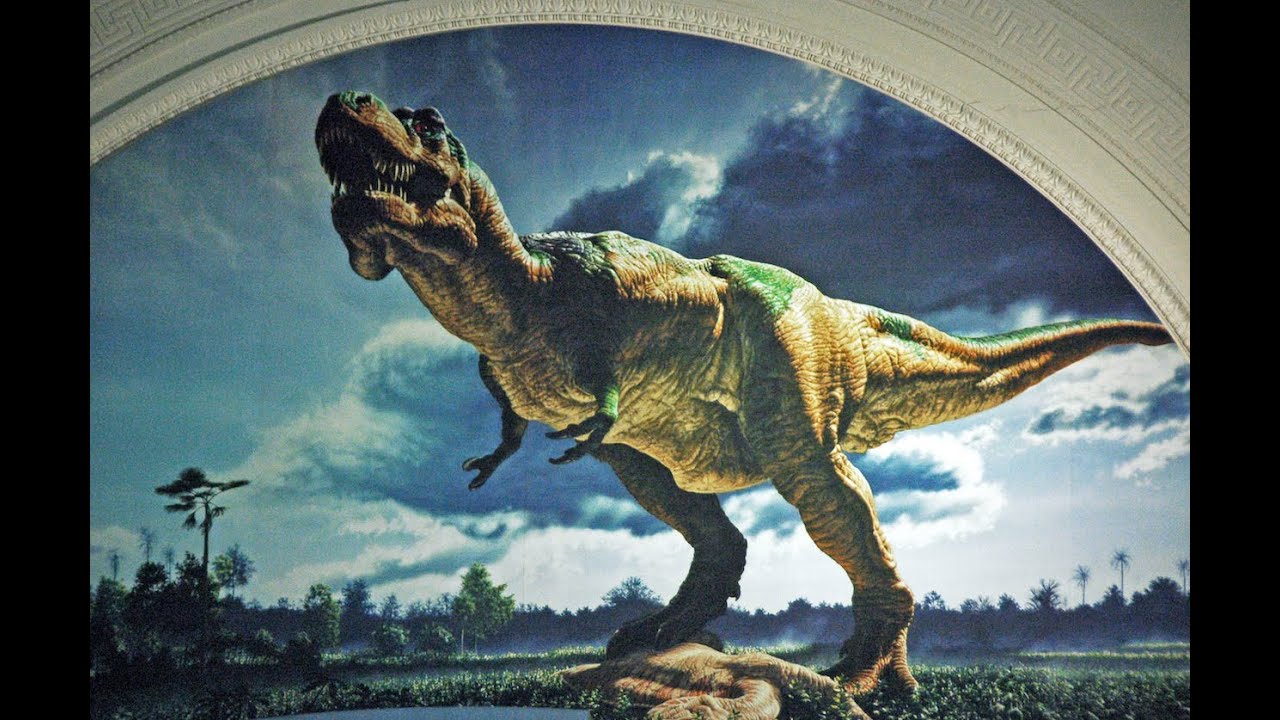 5 Things You Probably Do Not Know About the T.Rex! - YouTube