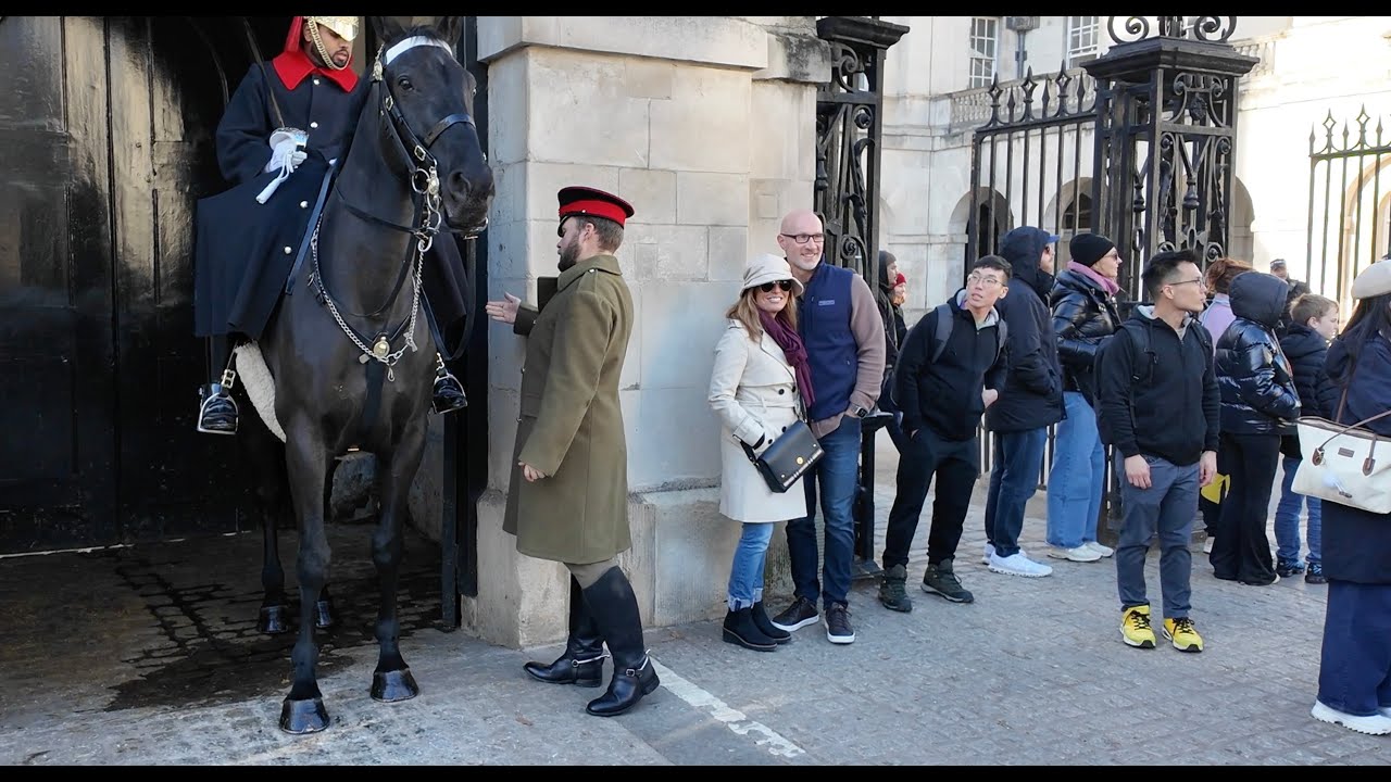 Officer Steps In: Tells Guard to Move the Horse Forward Out of the ...