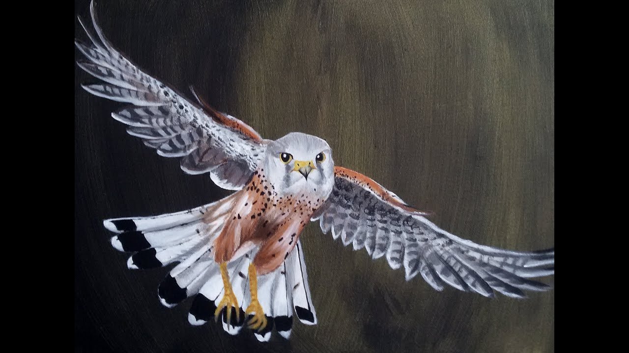 Hawk - Speed Painting - YouTube