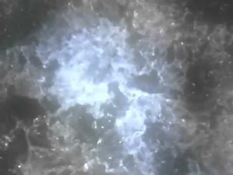 Snow melting under a digital microscope - YouTube