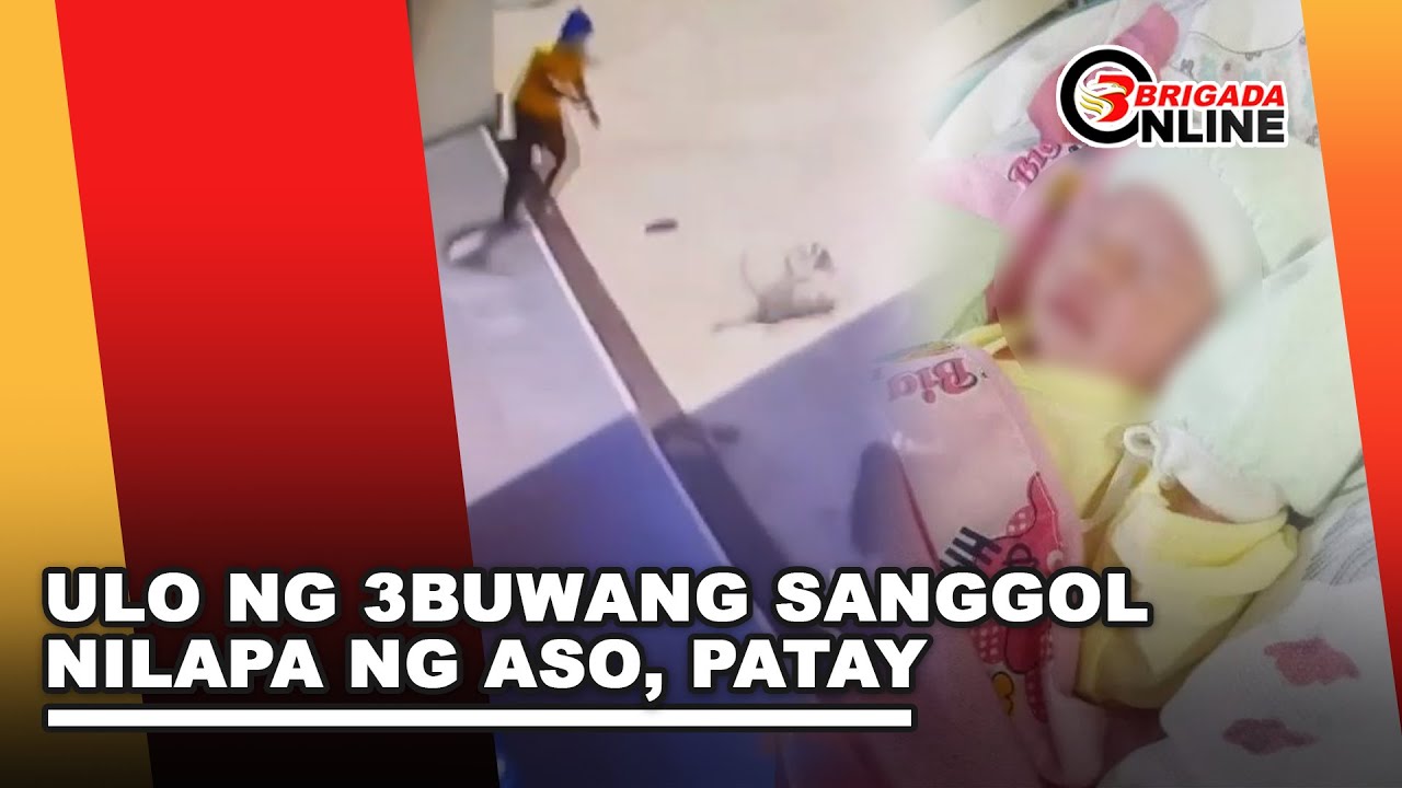 Ulo ng 3-Buwang sanggol nilapa ng aso, patay - YouTube