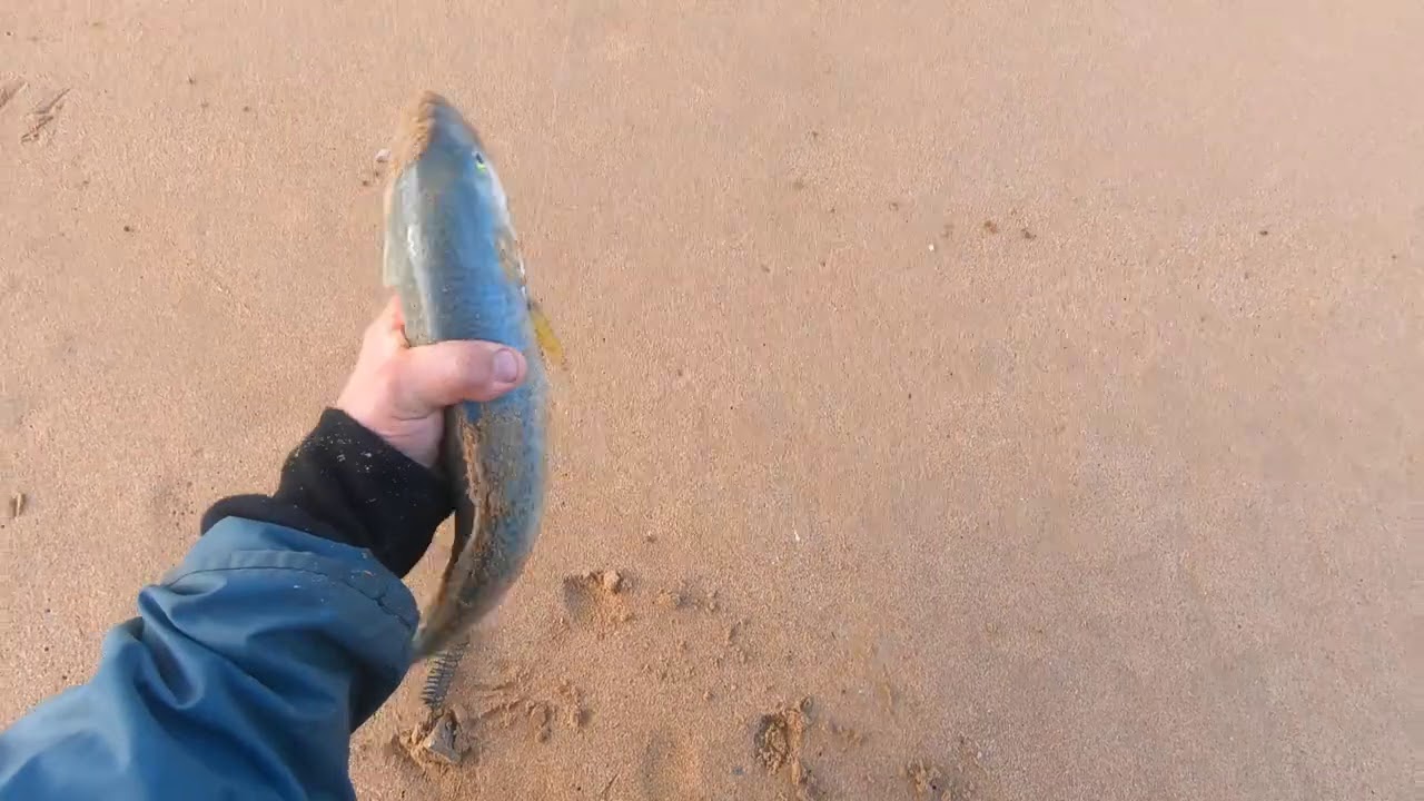 Beach fishing windy and extremely windy - YouTube