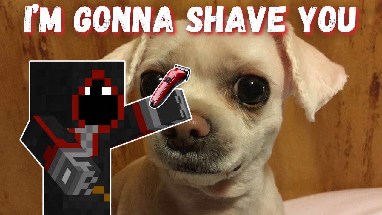 BadBoyHalo's Dog Lucy Will Become Rat Again?!? - YouTube