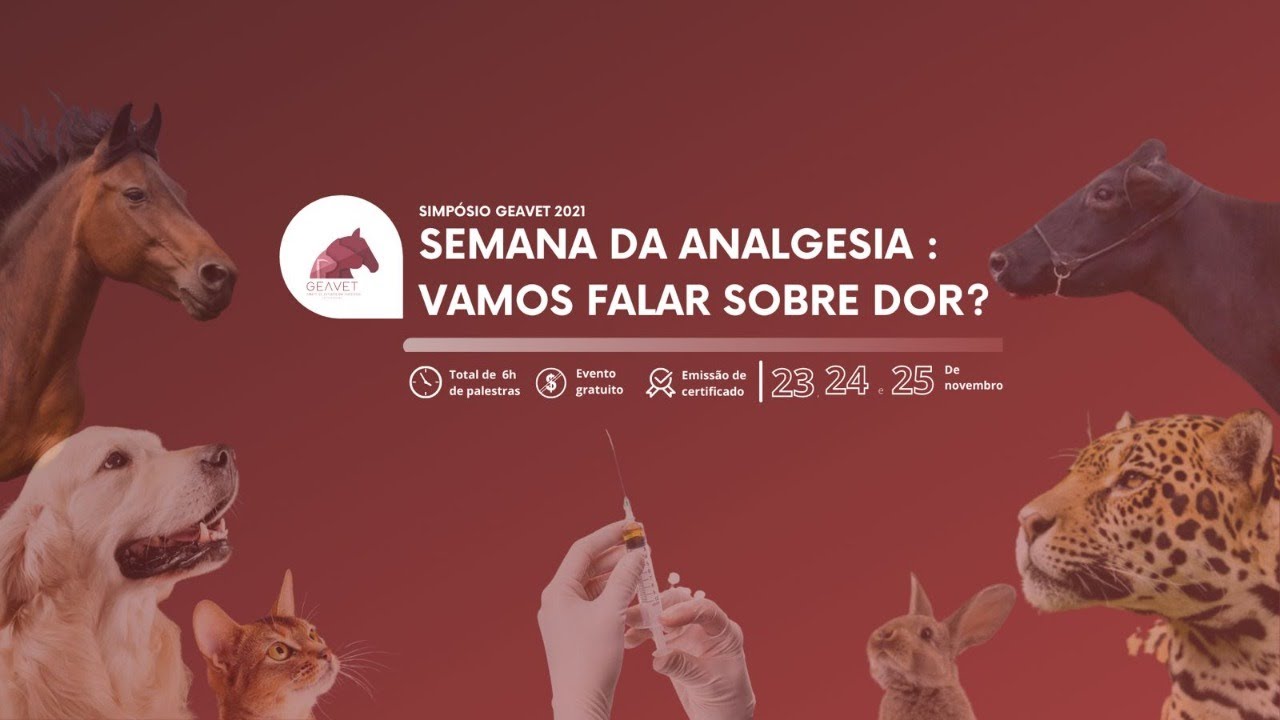 Simpósio GEAVET 2021- Semana da Analgesia: Dia 3 - YouTube
