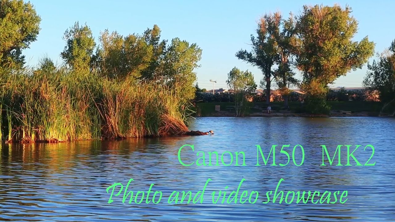 Canon M50 MK2 mini review - YouTube