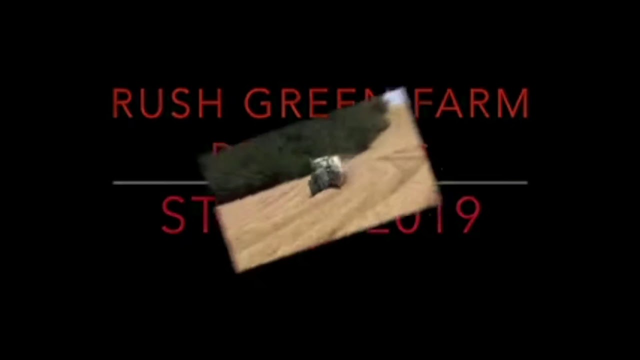 Rush Green Farm straw harvest 2019 - YouTube