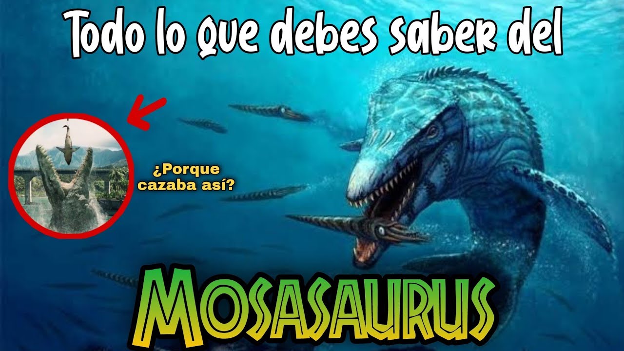 Todo lo que debes saber sobre el MOSASAURUS |Datos y curiosidades ...