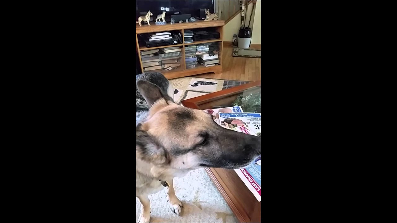 Singing in three part harmony - YouTube