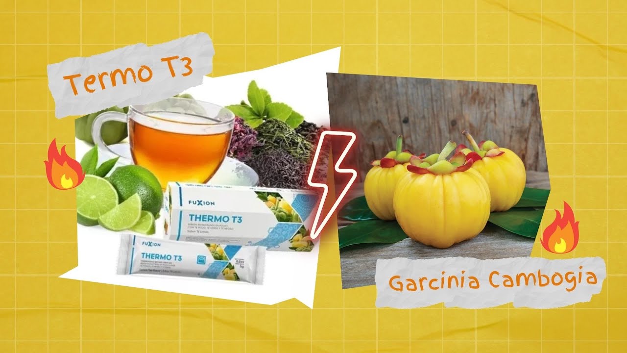 Descubre el Poder de Termo T3 y Garcinia Cambogia: Tu Fórmula para ...