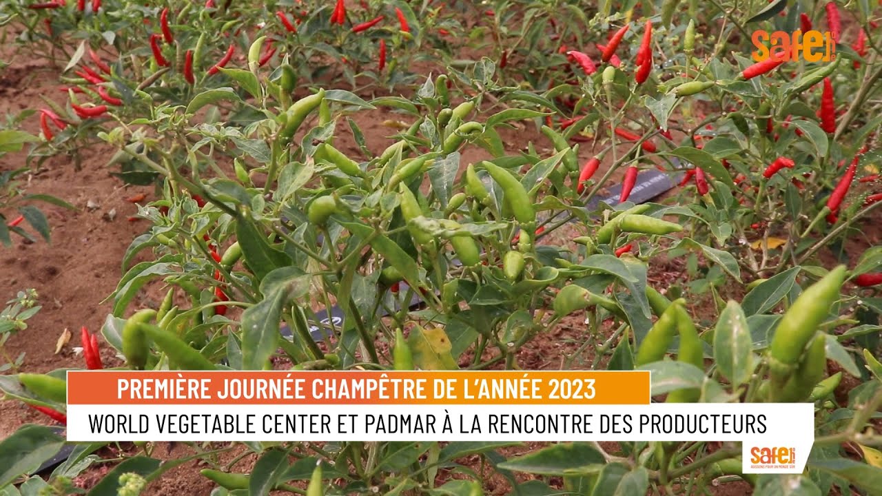 JOURNEE CHAMPETRE// WORLDVEG ET LE PADMAR A LA RENCONTRE DES ...