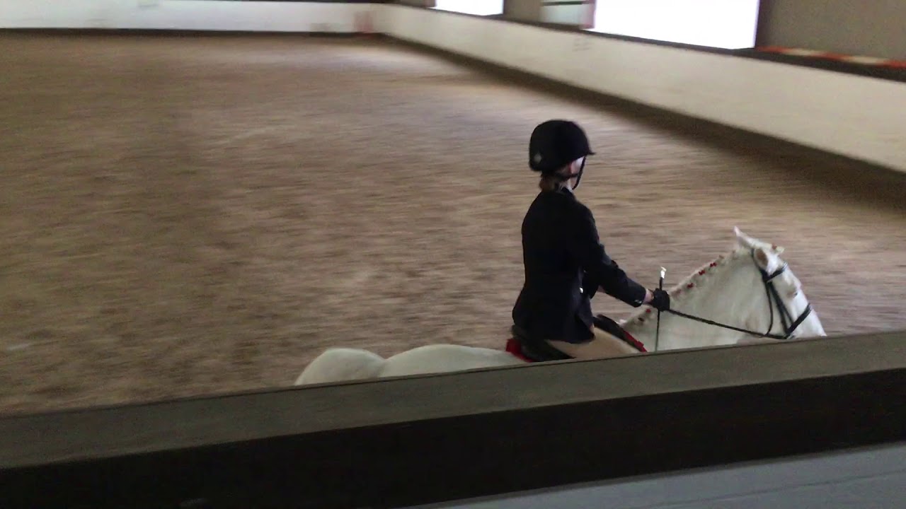 Interdressage Masie Simon & Pinky 2BJ Walk, Trot & Canter Croft End RS & WL March 19 - YouTube