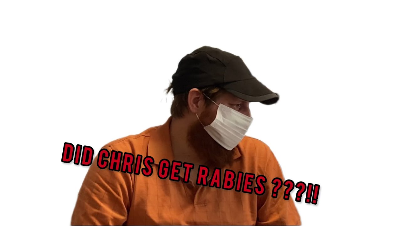 Podgorica vlog/ rabies vaccine for Chris 🤪 - YouTube