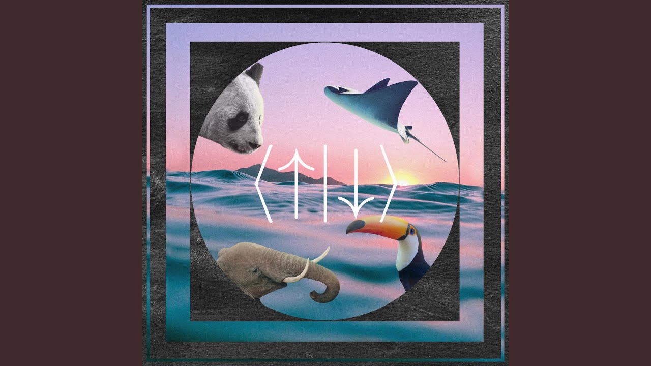 Stochastic Animals: Trotting Panda - YouTube