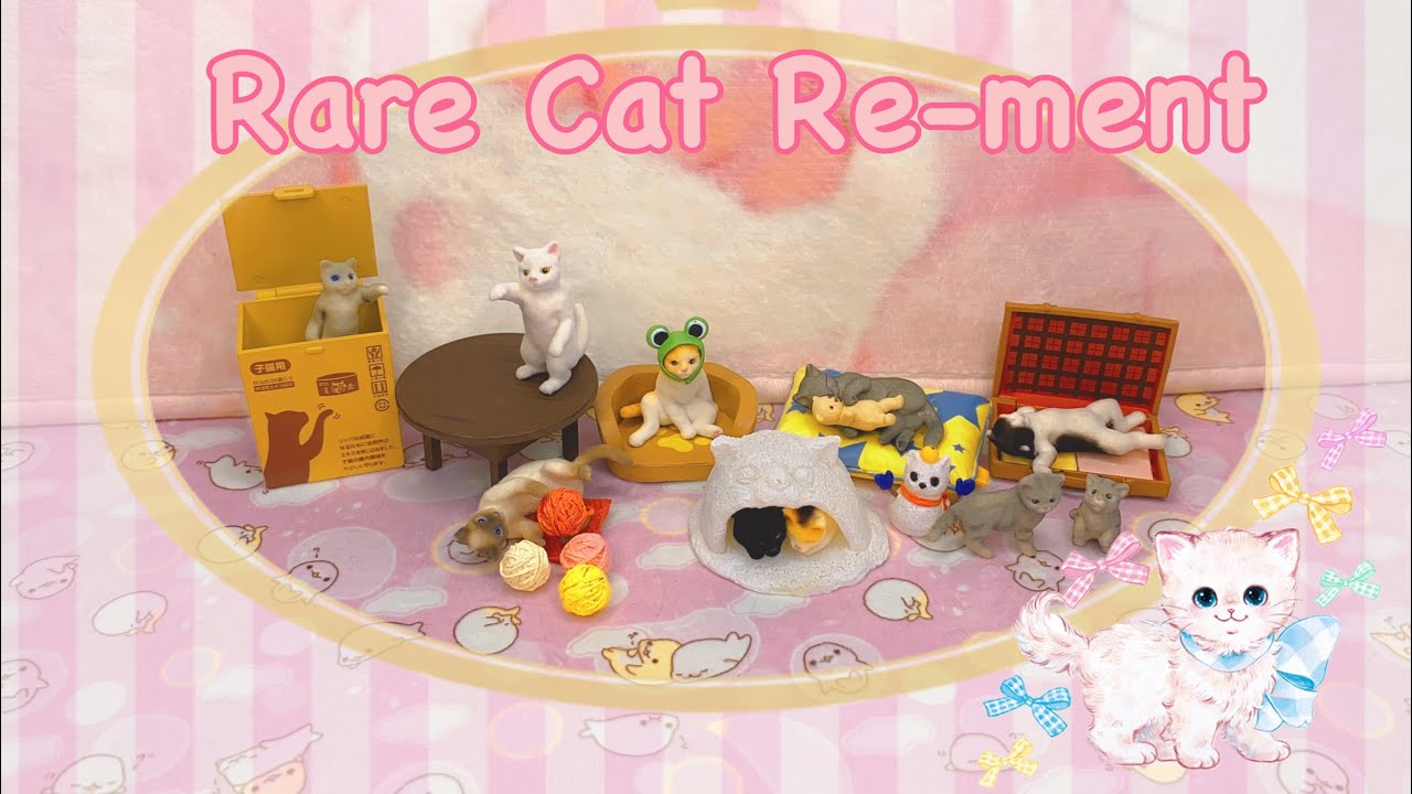 A Very Rare Cat Themed Re-ment! - YouTube