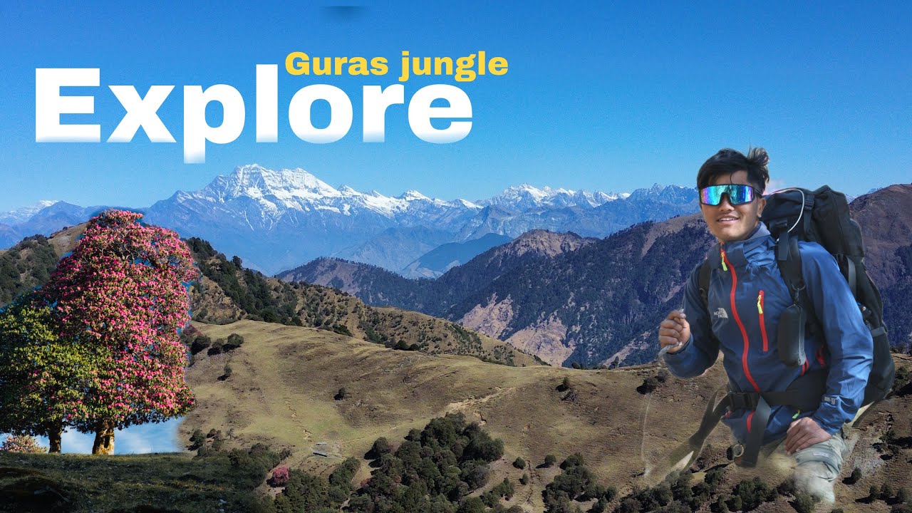 Explore guras jungle// rolpa gurase jungle// @Dilchanvlogs-Nepgium ...