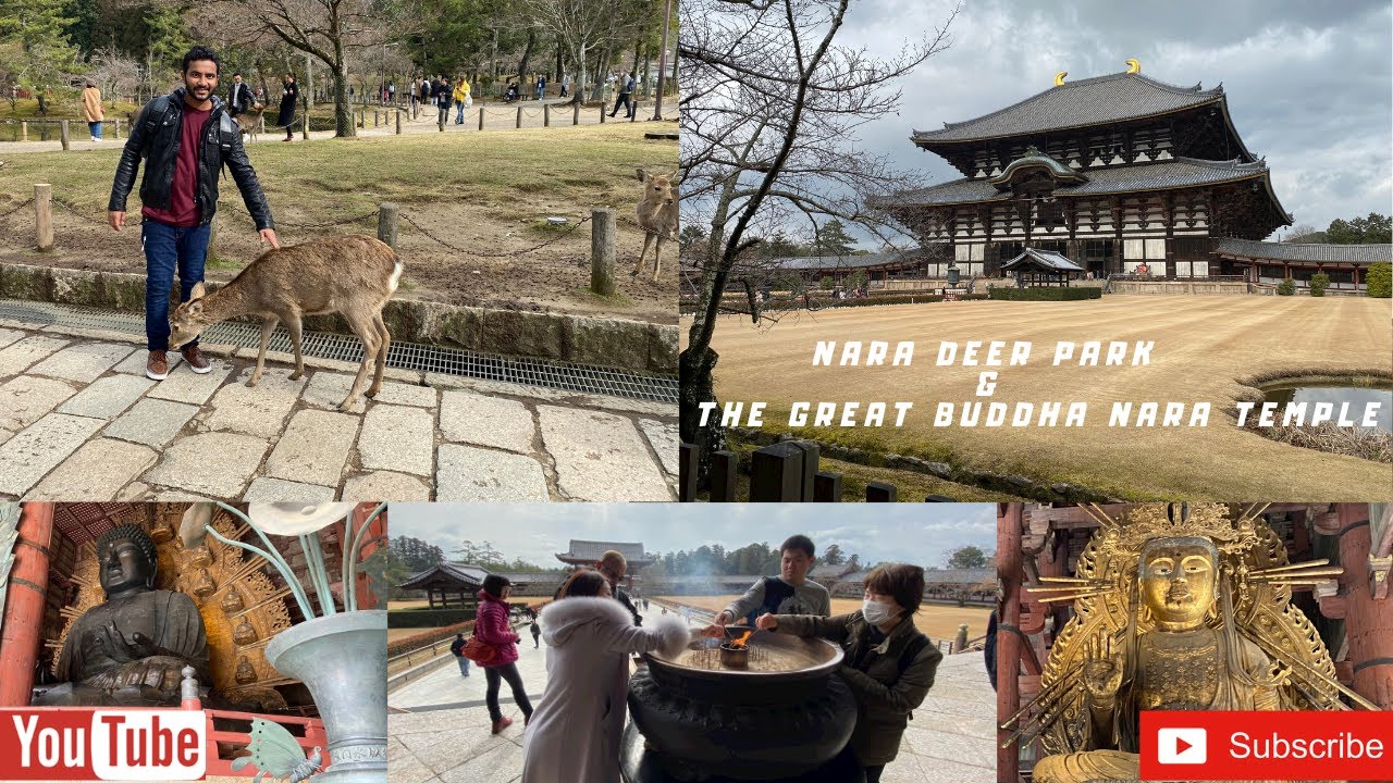 Nara Deer Park & The Great Buddha Nara Temple (Tōdai-ji) - Nara, Japan ...