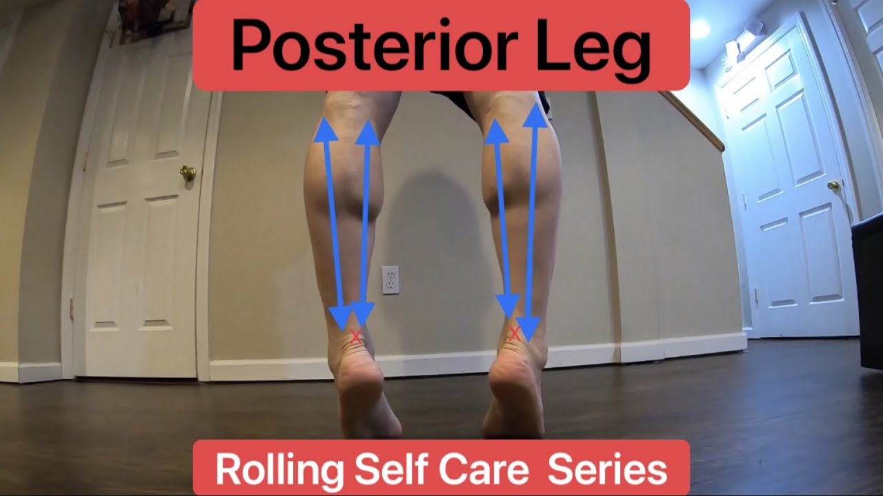 Posterior Leg - Calf Muscle (Gastrocnemius and Soleus) - YouTube