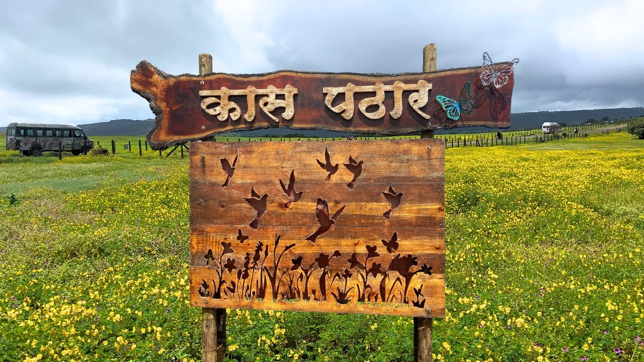 Kas Pathar 2025 | कास पठार सातारा | Kaas Plateau Satara |Complete Guide ...
