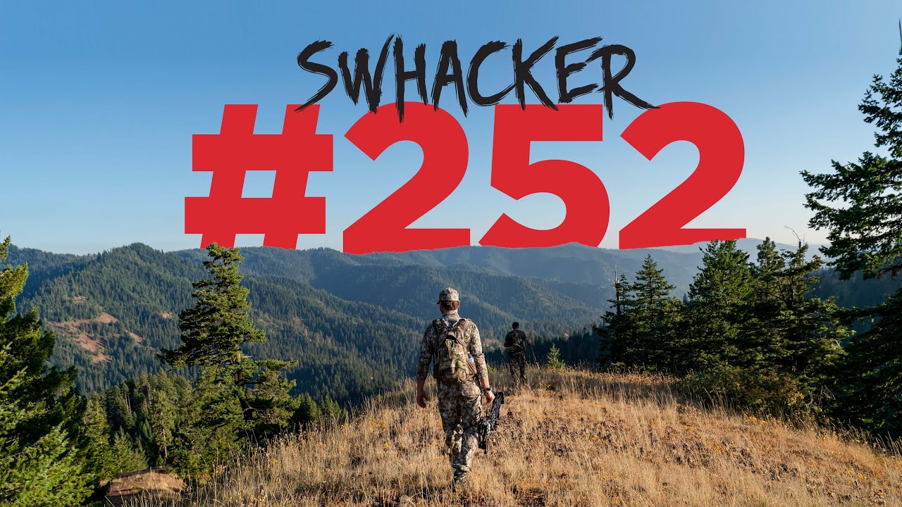 The Swhacker #252 Broadhead - SCARY SHARP! - YouTube