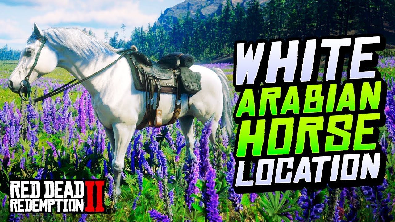 RDR2: LEGENDARY White Arabian Horse Location FAST & EASY Guide - YouTube