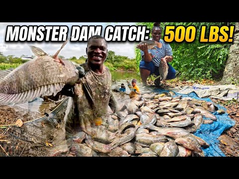 ​Massive 500 LB Tilapia Dam Fishing & Outdoor Feast!