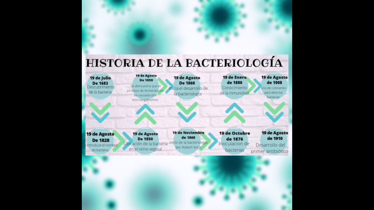 Línea del tiempo : historia de la Bacteriología - YouTube
