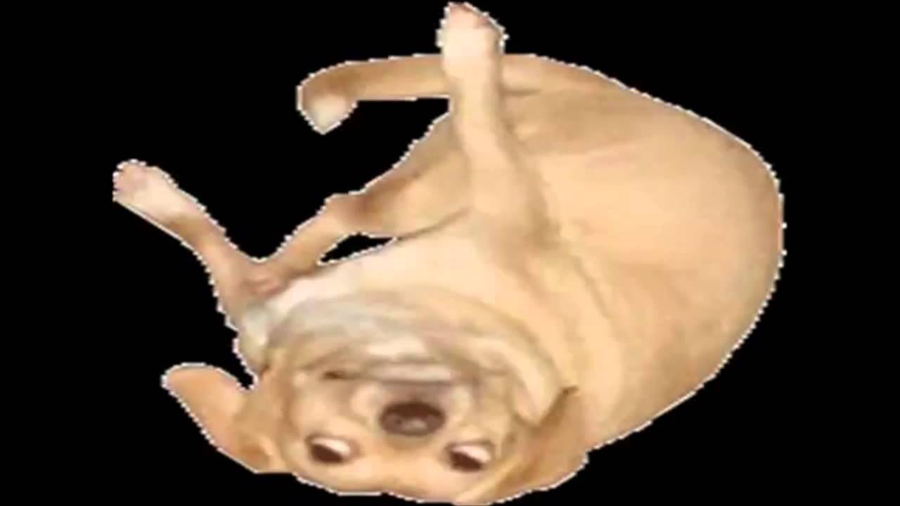Skinny - DOG (Super Mario World Dubstep) - YouTube