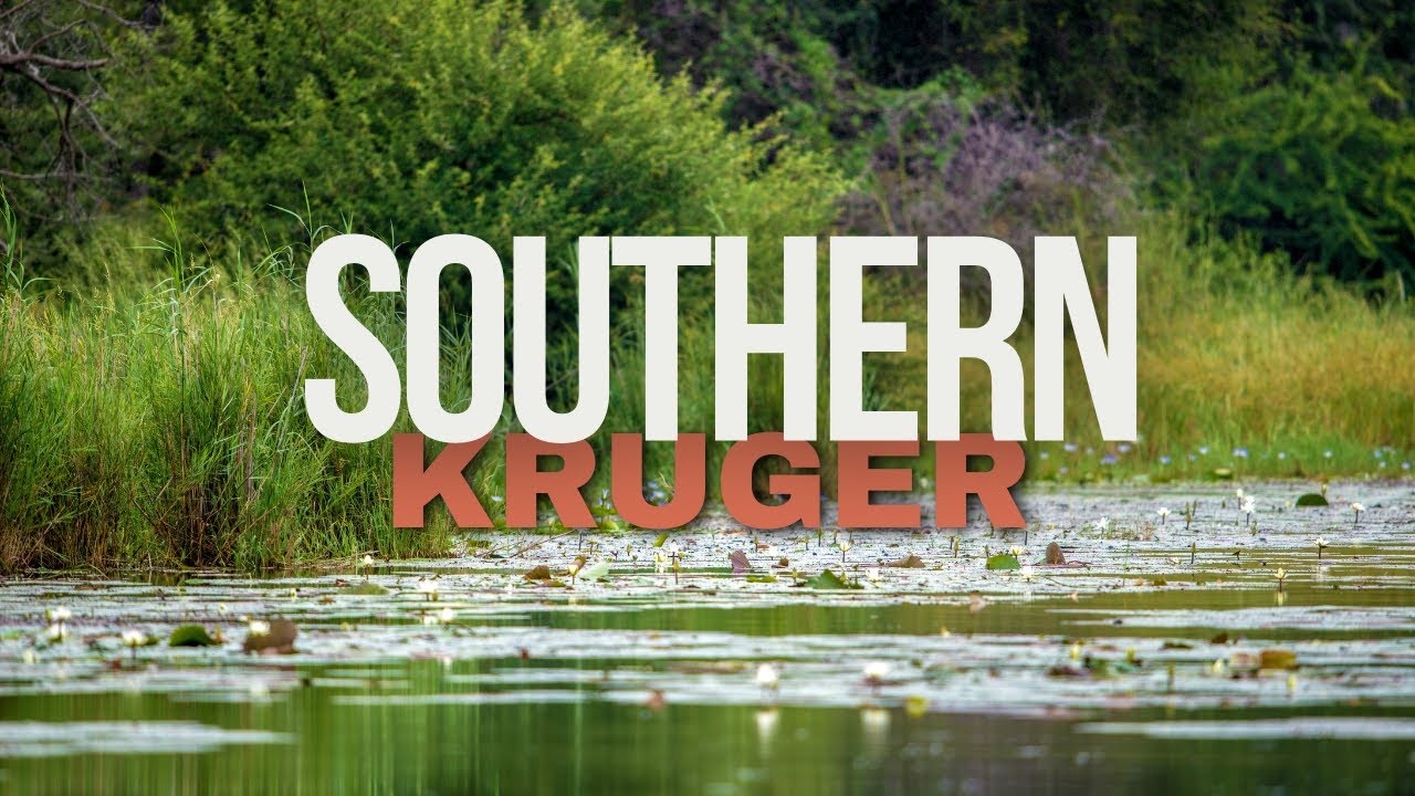 Southern Kruger National Park: Ultimate Safari Guide 🌍🐾 - YouTube