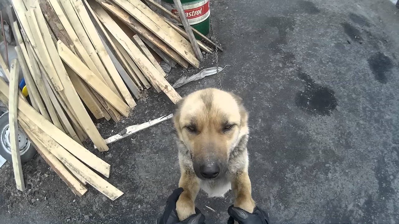 Фраер - YouTube