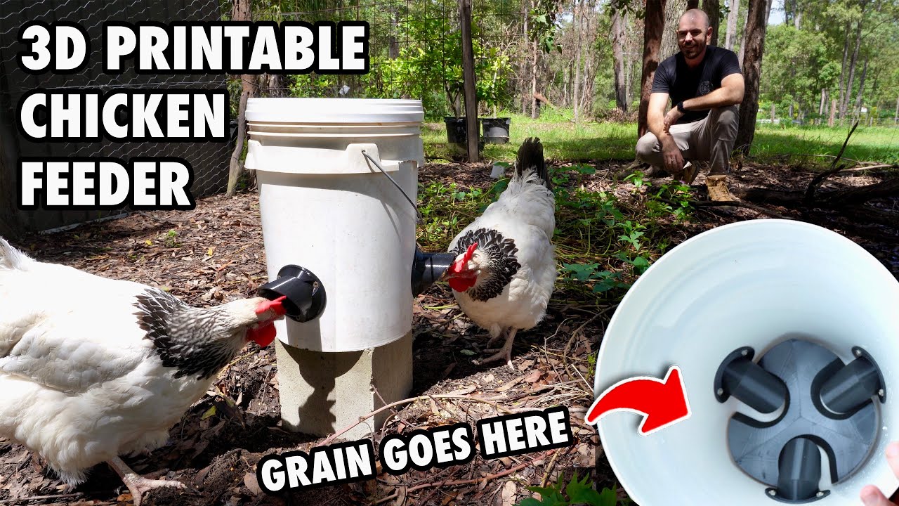 DIY Chicken Feeder with 3D Printable Parts - YouTube