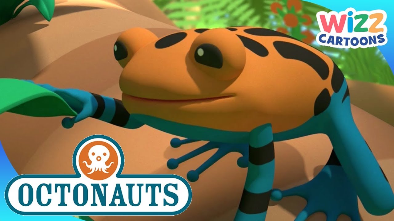 @Octonauts - Don't Touch the Poisonous Frog! | Compilation | Wizz ...