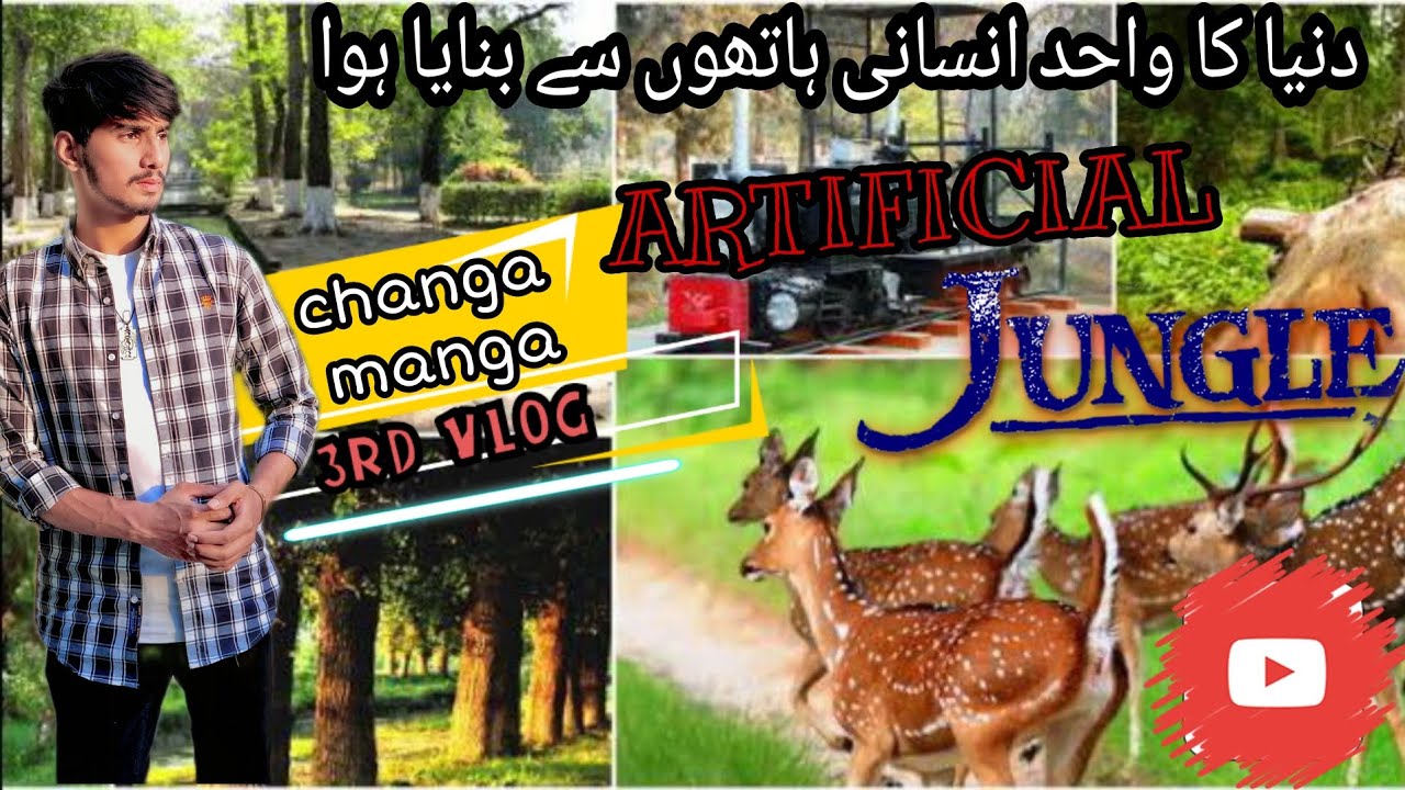 Changa Manga Jungle چھانگا مانگا جنگل کی سیر |vlog by Moiz Ahmad| # ...