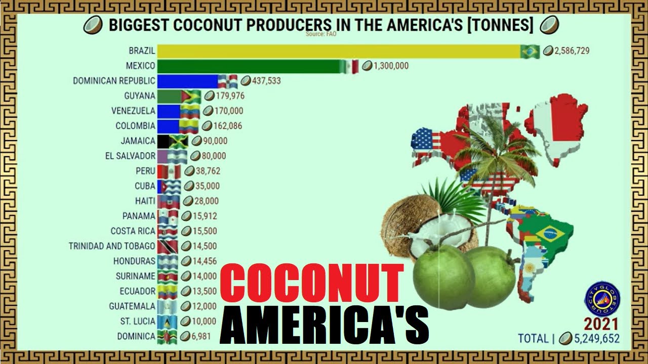 THE LARGEST COCONUT PRODUCERS IN THE AMERICA'S 🥥 - YouTube