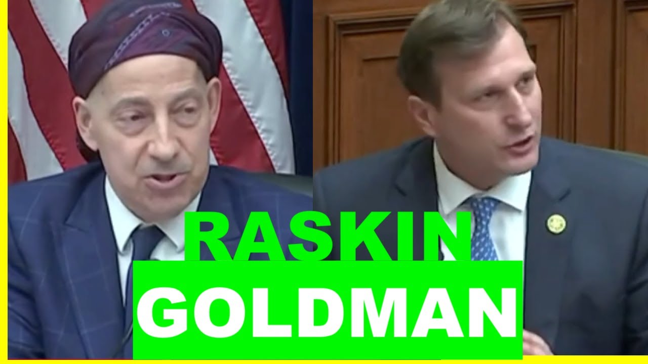 Dan Goldman Jamie Raskin stunning moment vs GOP Clowns 2023 REWIND ...