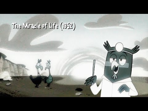 Camp Lazlo - The Miracle of Life (1952)