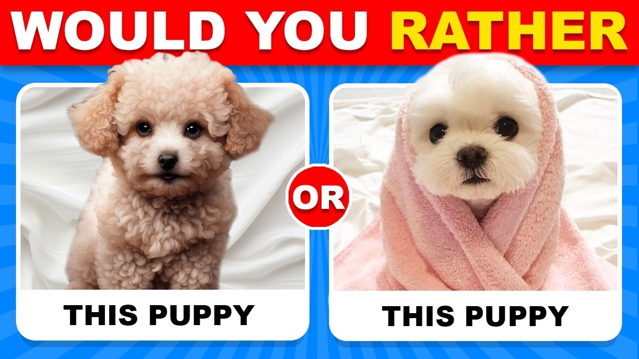 Would You Rather...? Animals Edition 🐶😺 Challenge Quiz - YouTube