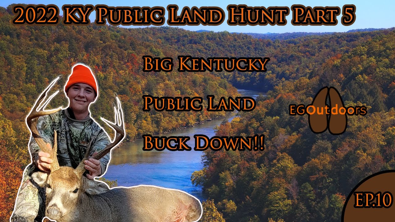 Big Kentucky Public Buck Down!! 2022 KY Public Land Hunt Part 5 EP 10 ...