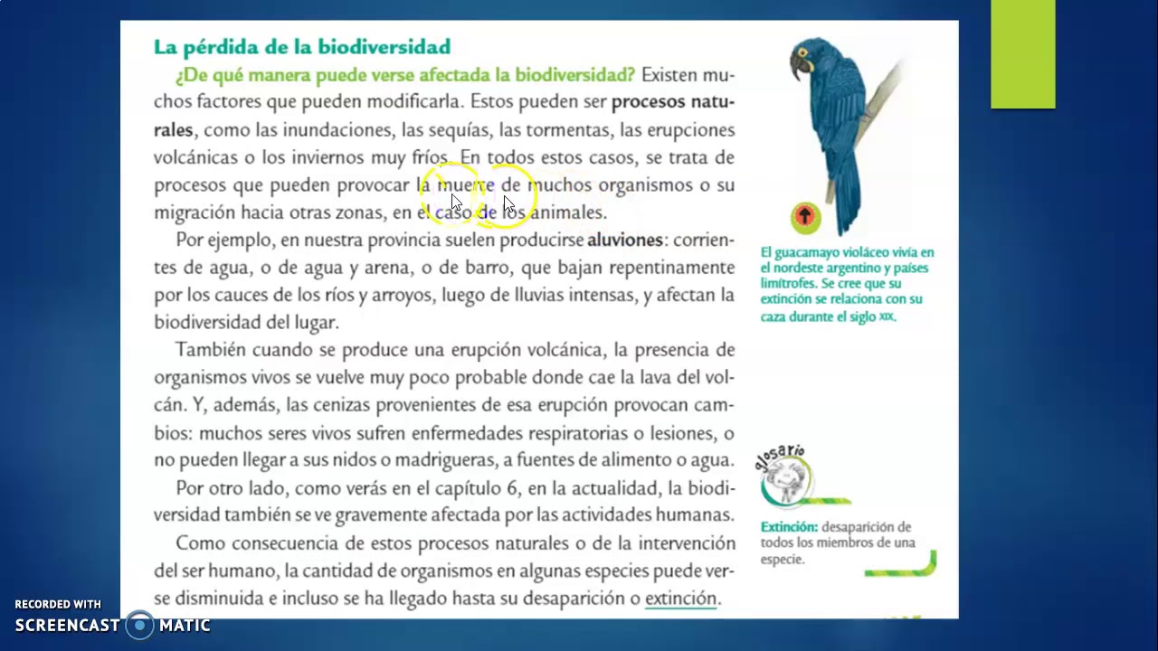 Que Son Los Subtemas - slingo