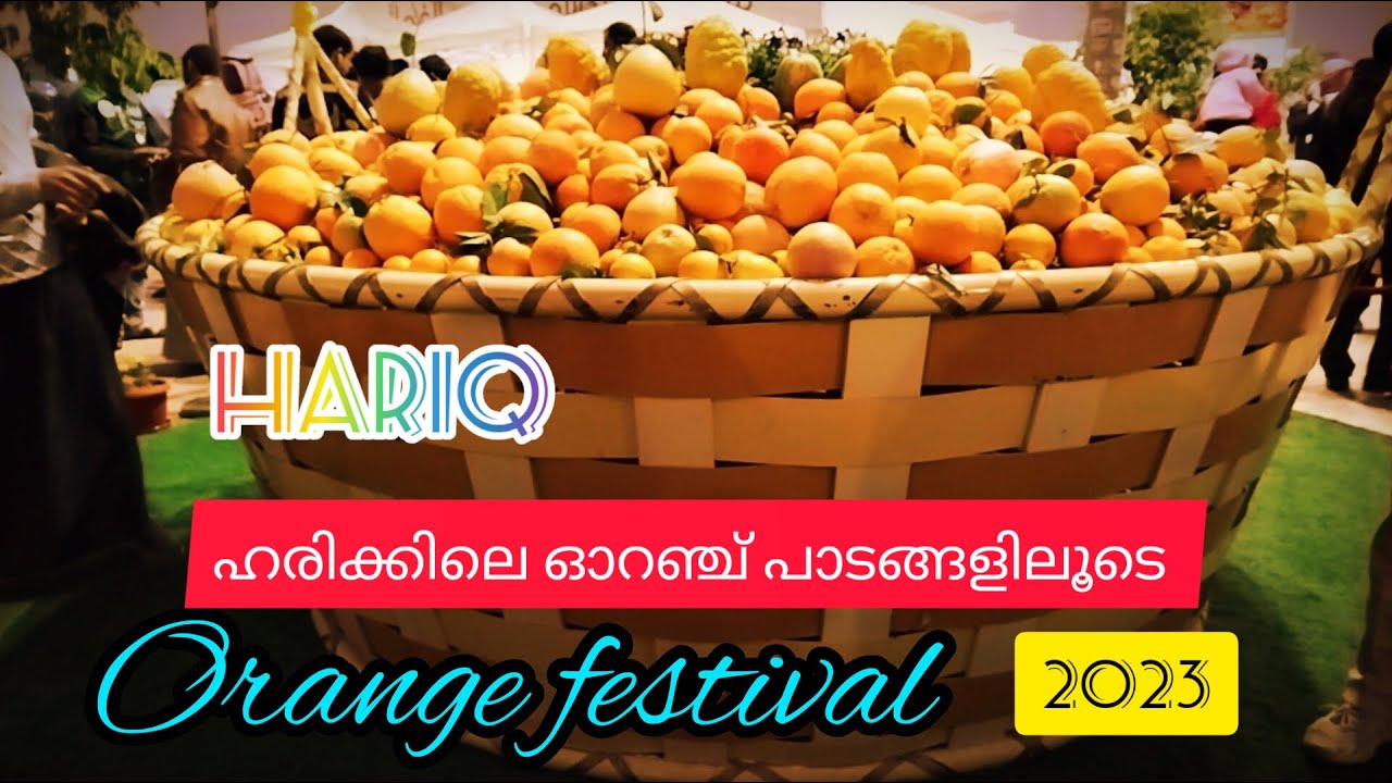 ഓറഞ്ച് പാടങ്ങളിലൂടെ ഒരു യാത്ര |Orangefarms|Al Hariq|Riyadh | Saudi ...