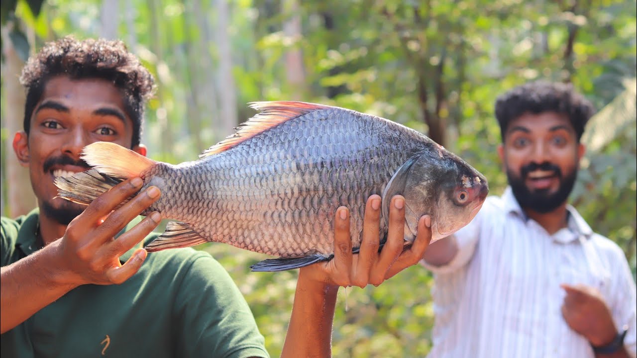 ചളിമീൻ |ലോകത്തിലെ തന്നെ ആദ്യത്തെ വീഡിയോ😲 |mud fish |Masterpiece - YouTube