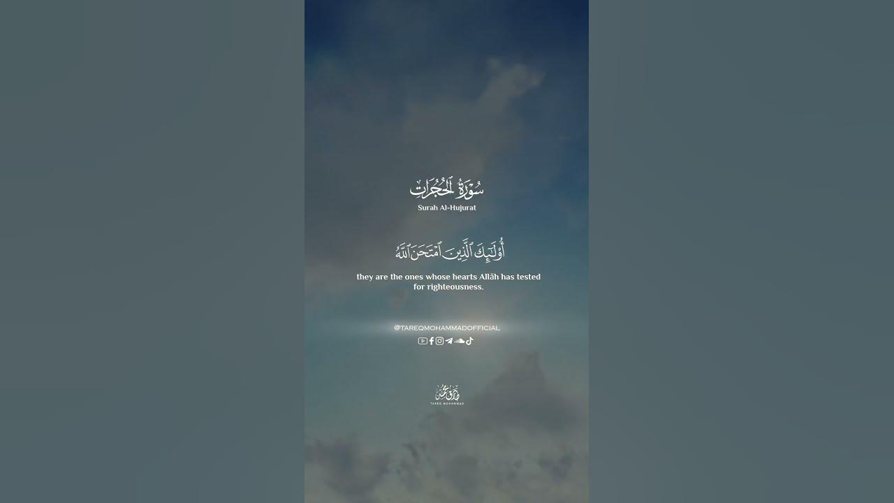 أولَـٰئكَ الذينَ امتَحَنَ اللهُ قُلوبَهُم طارق محمد من سورة