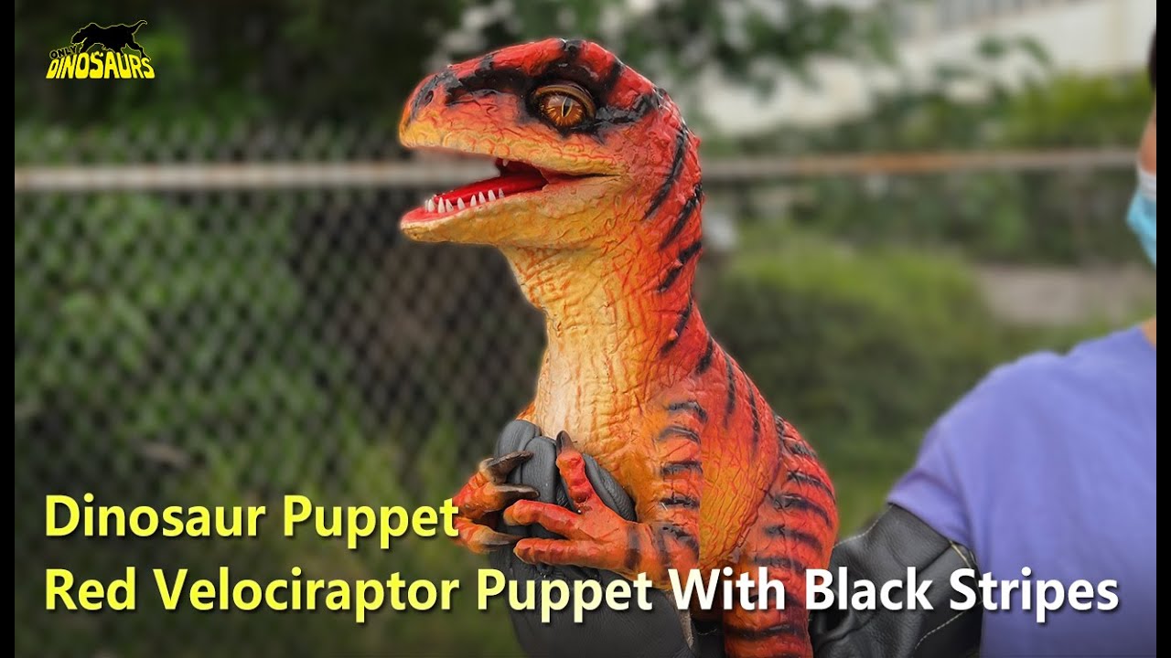 Jurassic Red Raptor Puppet With Black Stripes | Dinosaur Puppet - YouTube