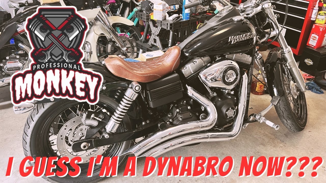 We bought ANOTHER Harley Davidson! Am I a DynaBro Now??? - YouTube