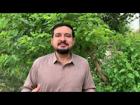 Rain in peshawar. Weather updates. Pleasant weather. Fresh weather ...