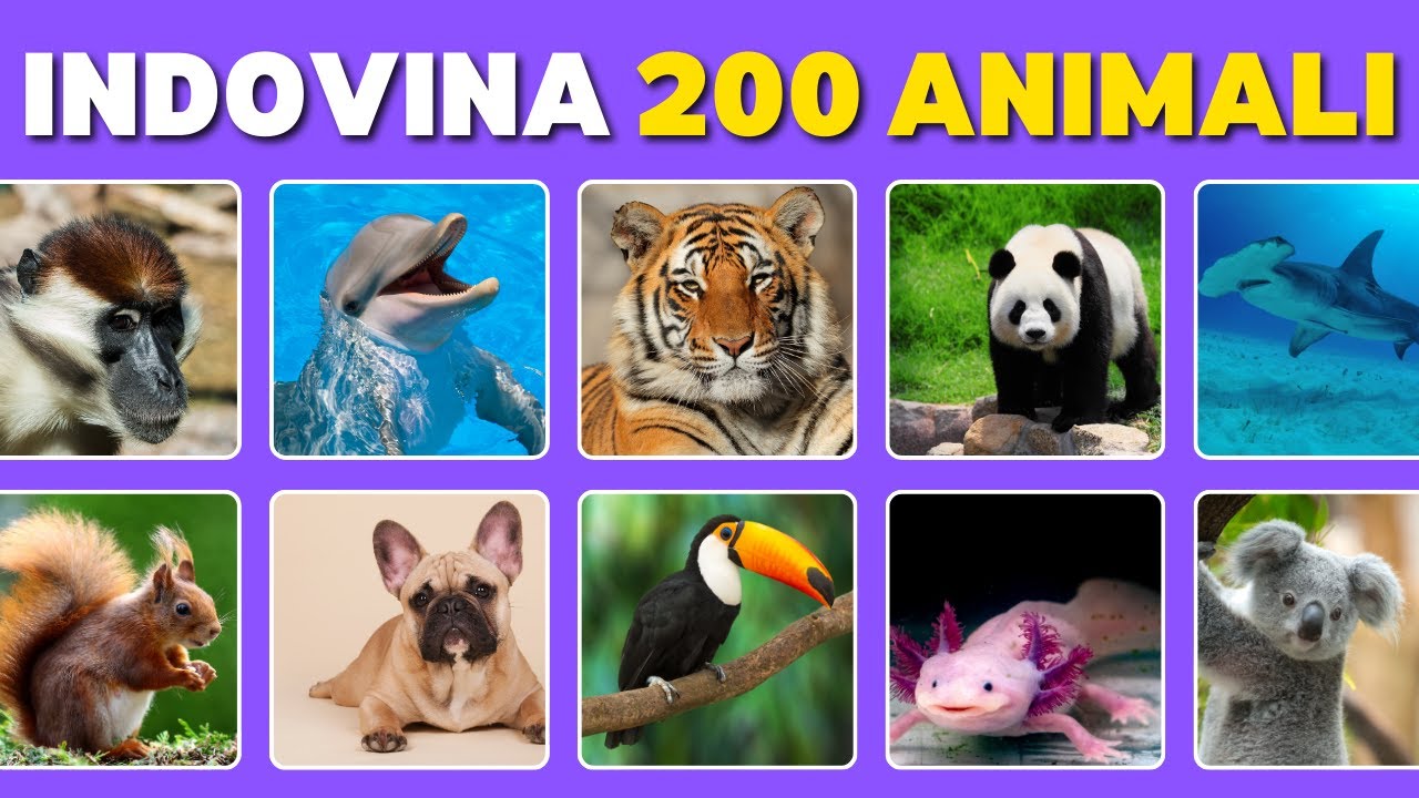QUIZ 200 ANIMALI dalla A alla Z | Indovina l’animale in 3 secondi - YouTube