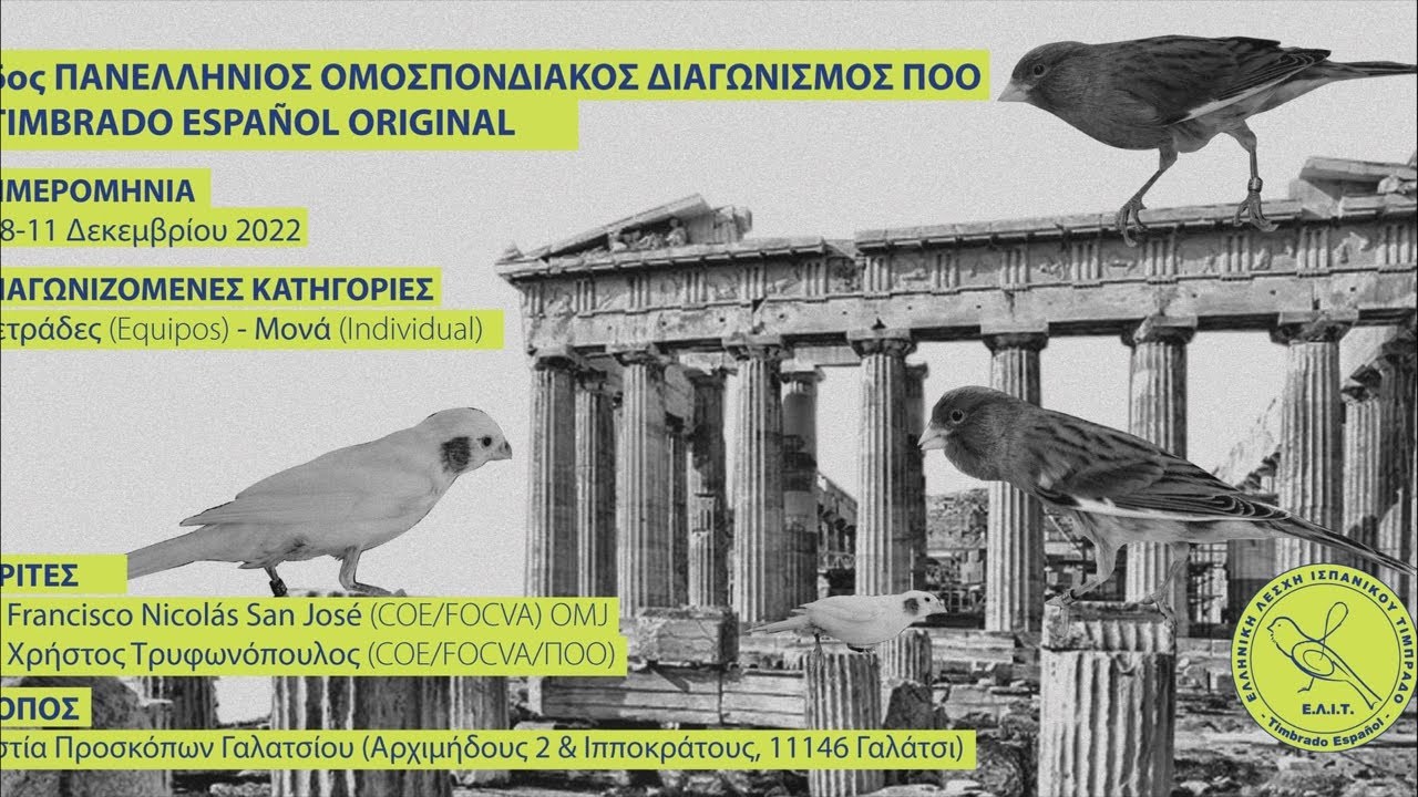 6ος Ομοσπονδιακός Διαγωνισμός Timbrado Español Original ΠΟΟ-ΕΛΙΤ 9-12 ...