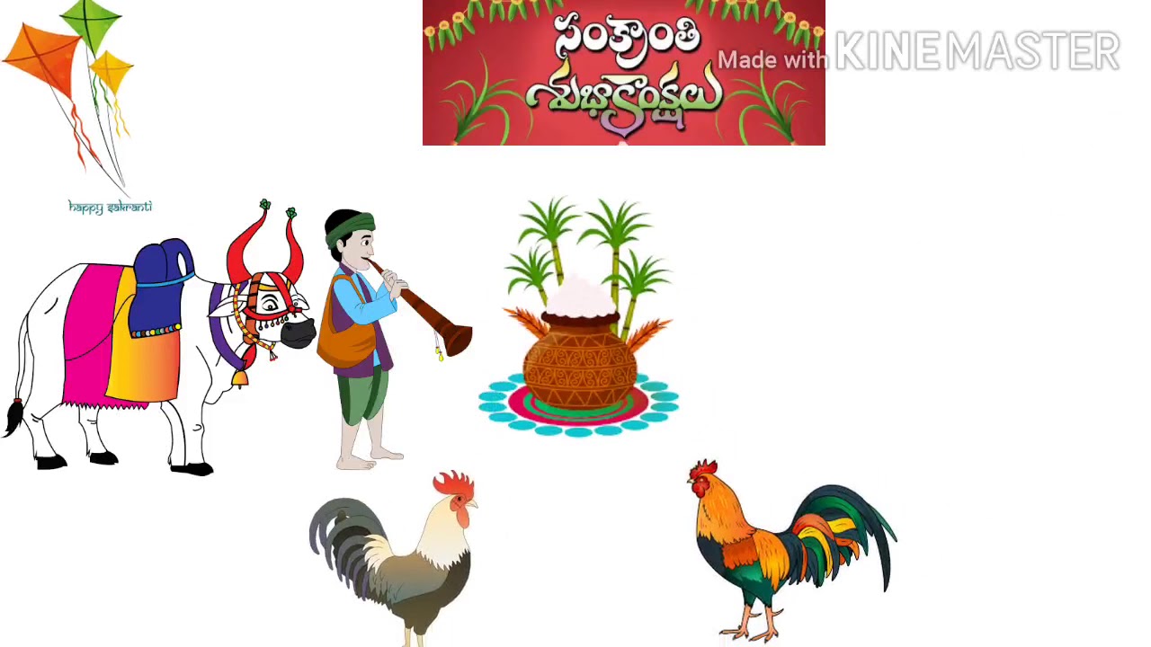 # SANKRANTI PANDUGA WHATSAPP STATUS # - YouTube