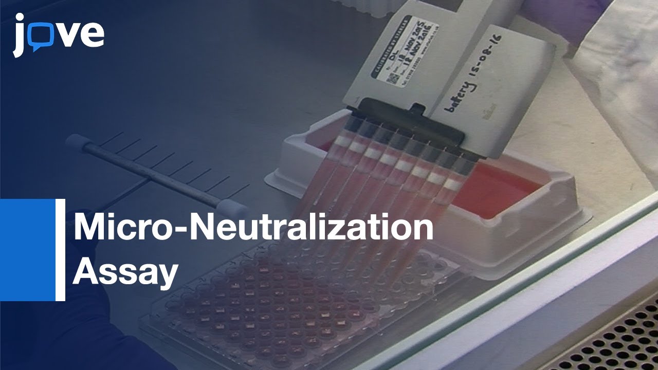 Micro-Neutralization Assay Optimization | Protocol Preview - YouTube