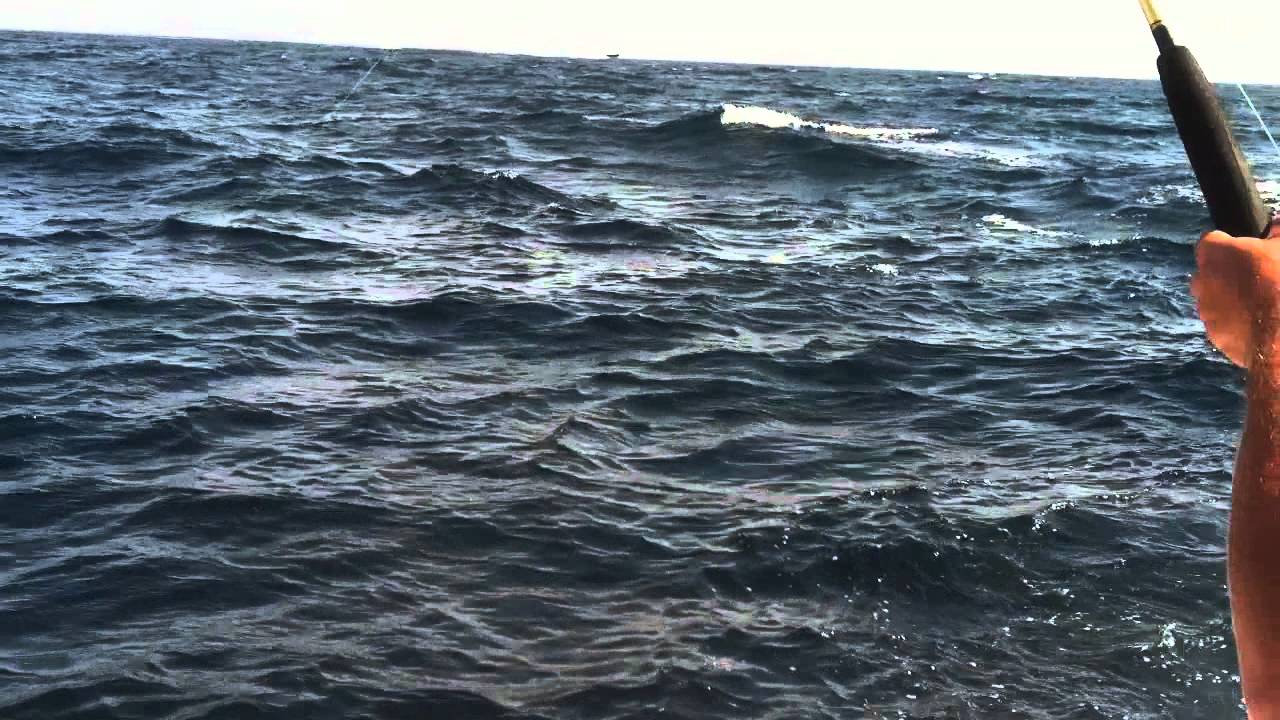 Outer Banks White Marlin - Country Girl Charter Fishing - Sept 5, 2011 ...